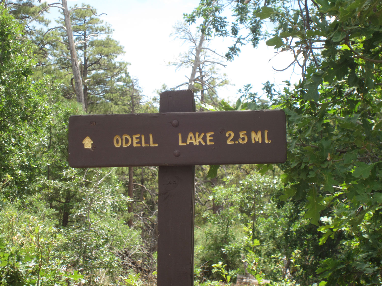 Crystal Point – MUnds park Trail Stewards (MUTS)