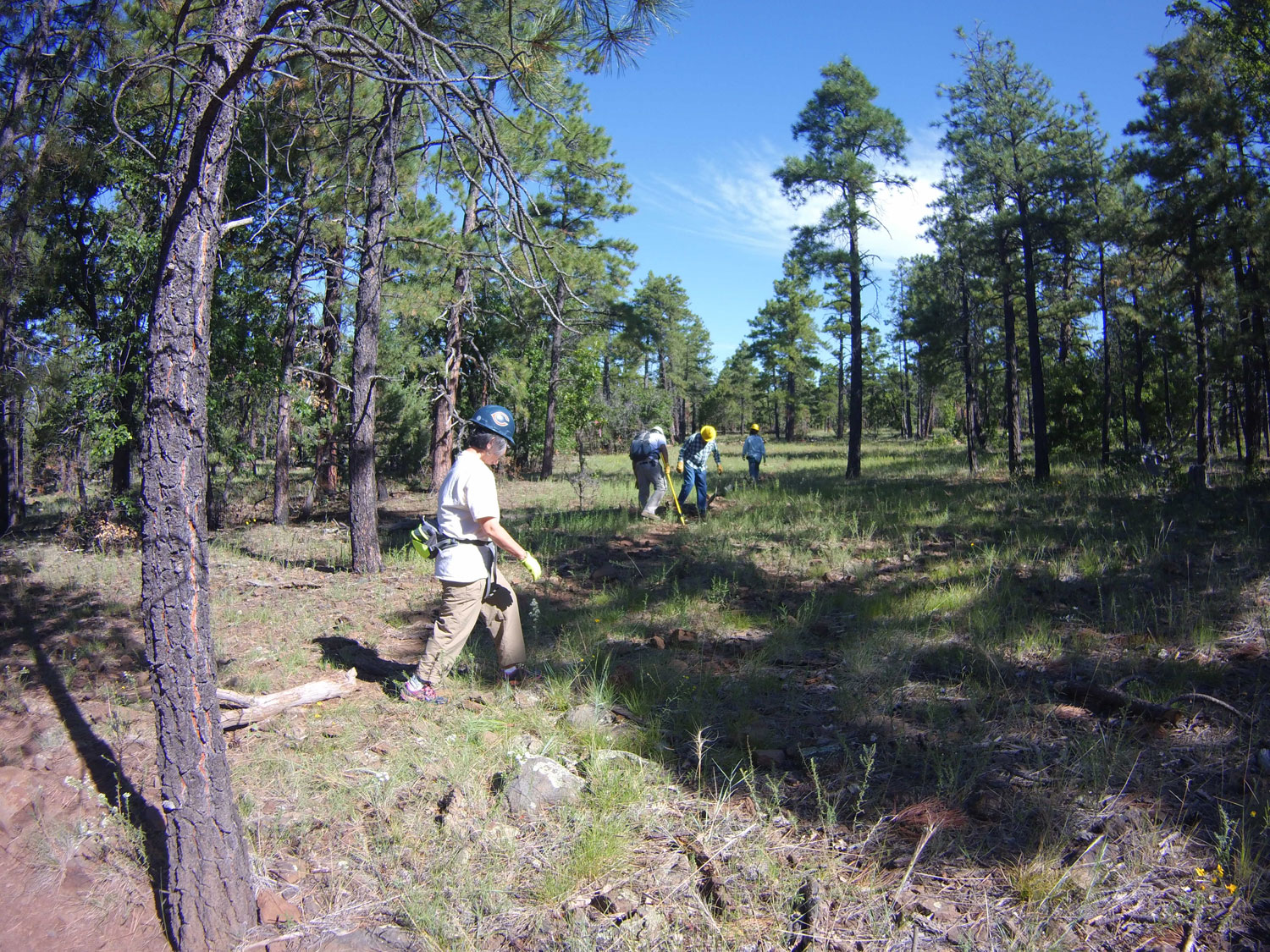Crystal Point – MUnds park Trail Stewards (MUTS)