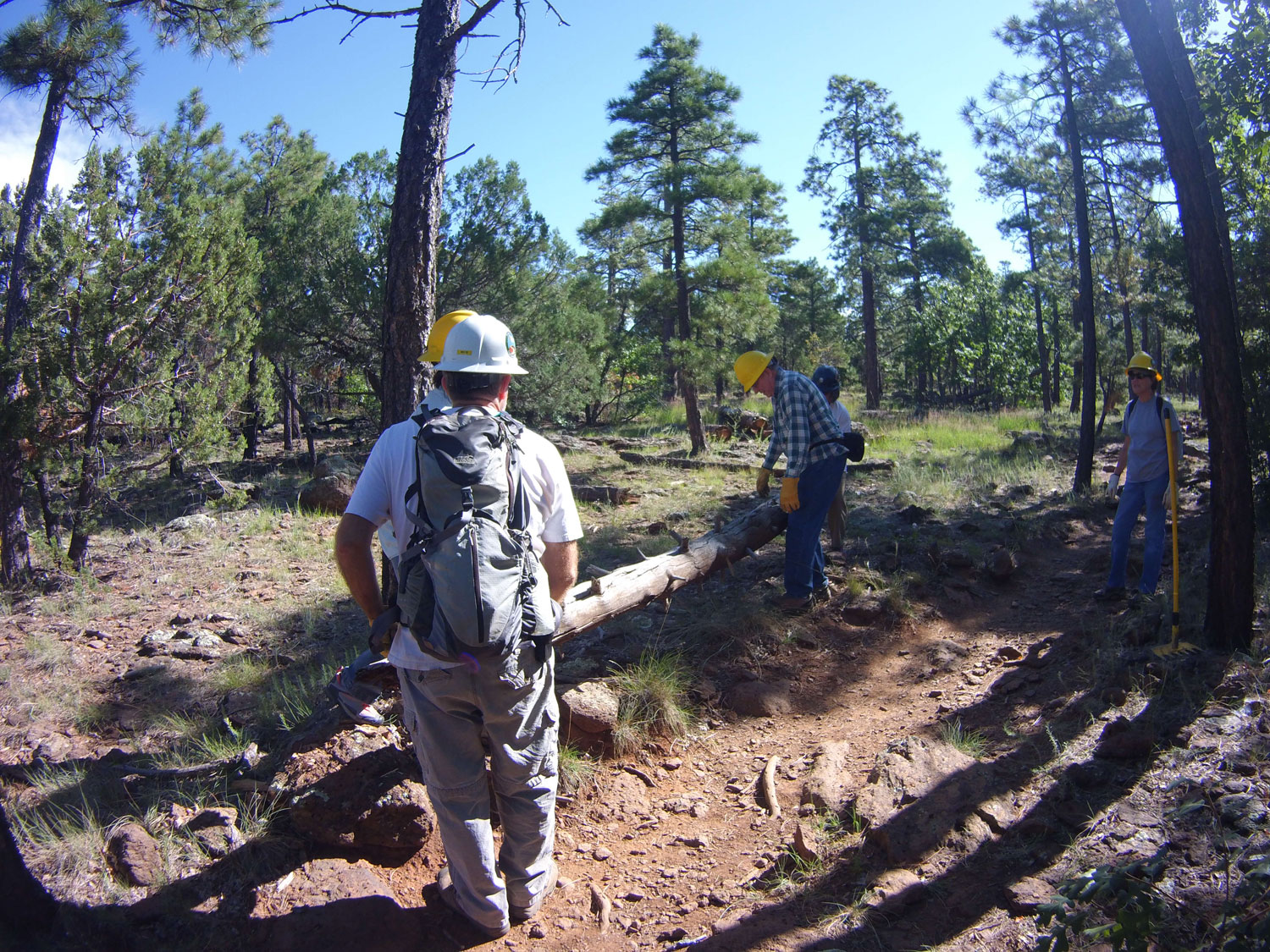 Crystal Point – MUnds park Trail Stewards (MUTS)